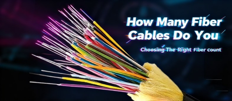 How Many Fibers Do You Need? Guide to Choosing Fiber Count