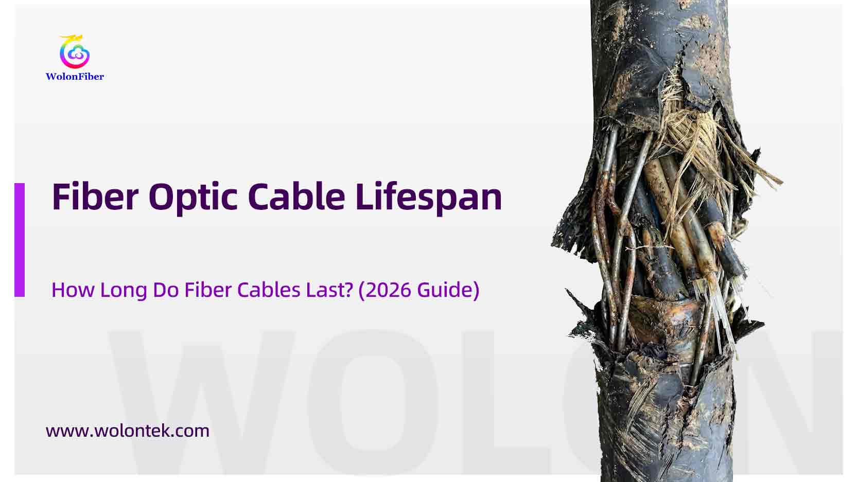 Fiber Optic Cable Lifespan: How Long Do Fiber Cables Last? (2026)