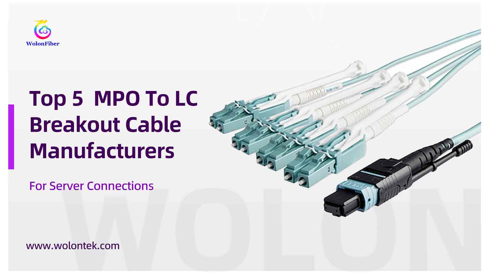 Top 5 MPO To LC Breakout Cable Manufacturers For Server Connections ...