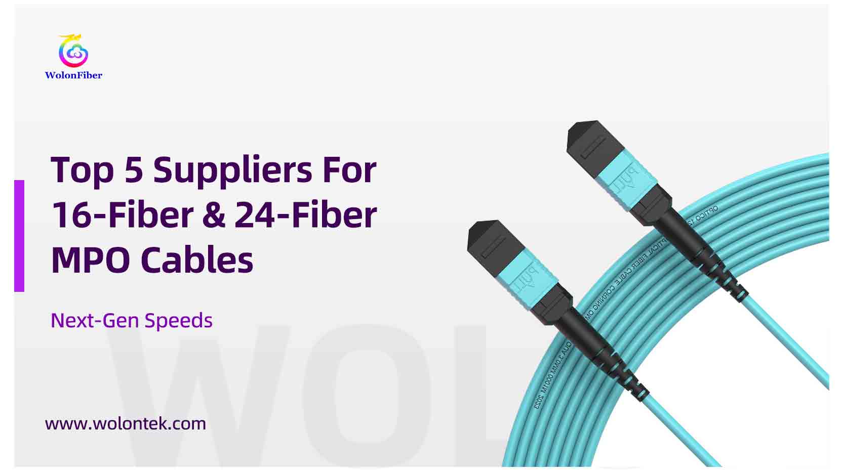 Top 5 Suppliers For 16-Fiber & 24-Fiber MPO Cables (400G SR8 Guide)