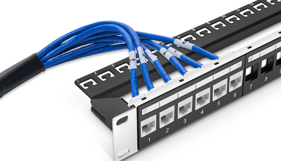 Patch Cords Vs Trunk Cables Vs Pigtails: What’S The Difference? - WOLONTEK